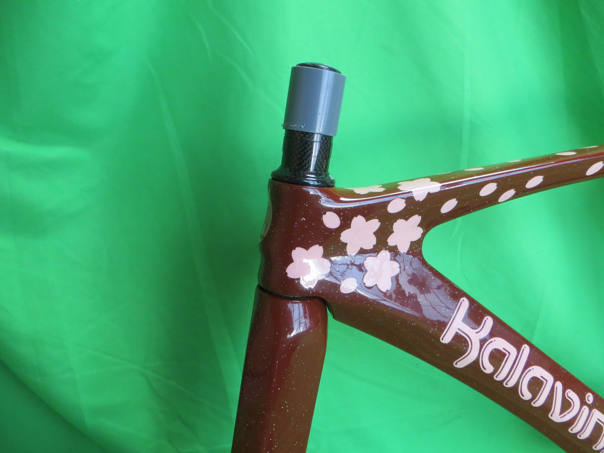 Rare! Kalavinka Girl'S Keirin Carbon Track Frame // Dark Red with Rain ...