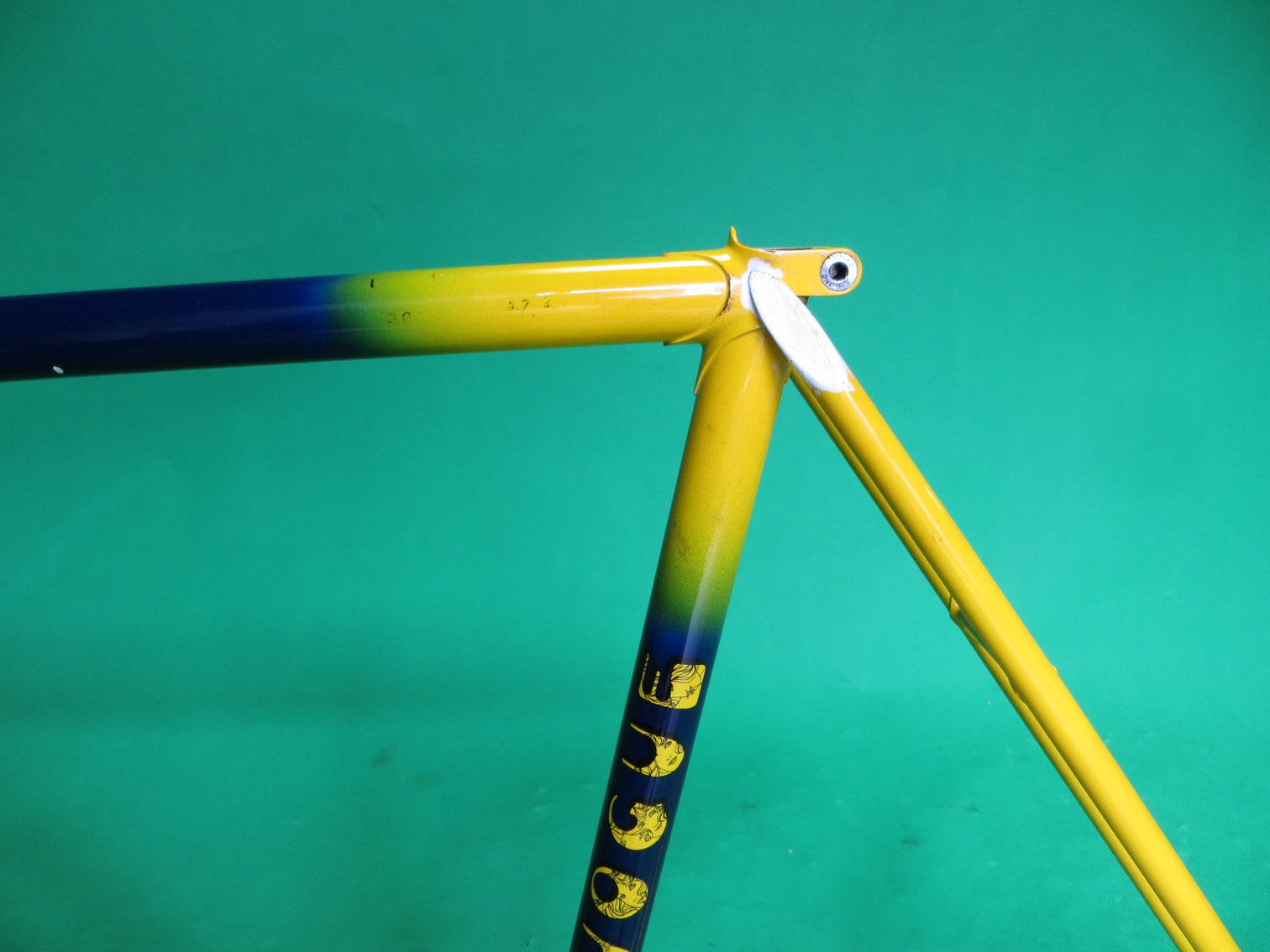 VOGUE // dark blue + yellow fade // 51cm – NJS EXPORT